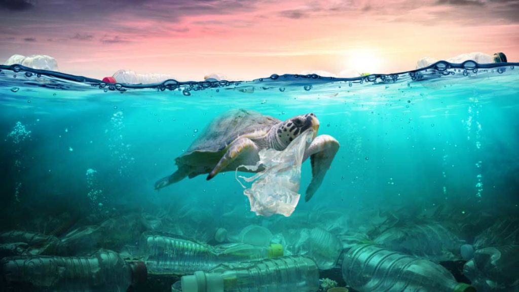 The Perils of Sea Level Rise and Ocean Pollution: Are Current Responses ...